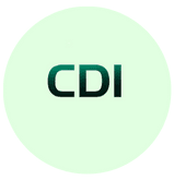 Quanto Rende 6000 Reais no CDI